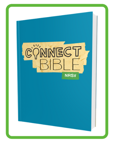 Meet the Connect Bible!