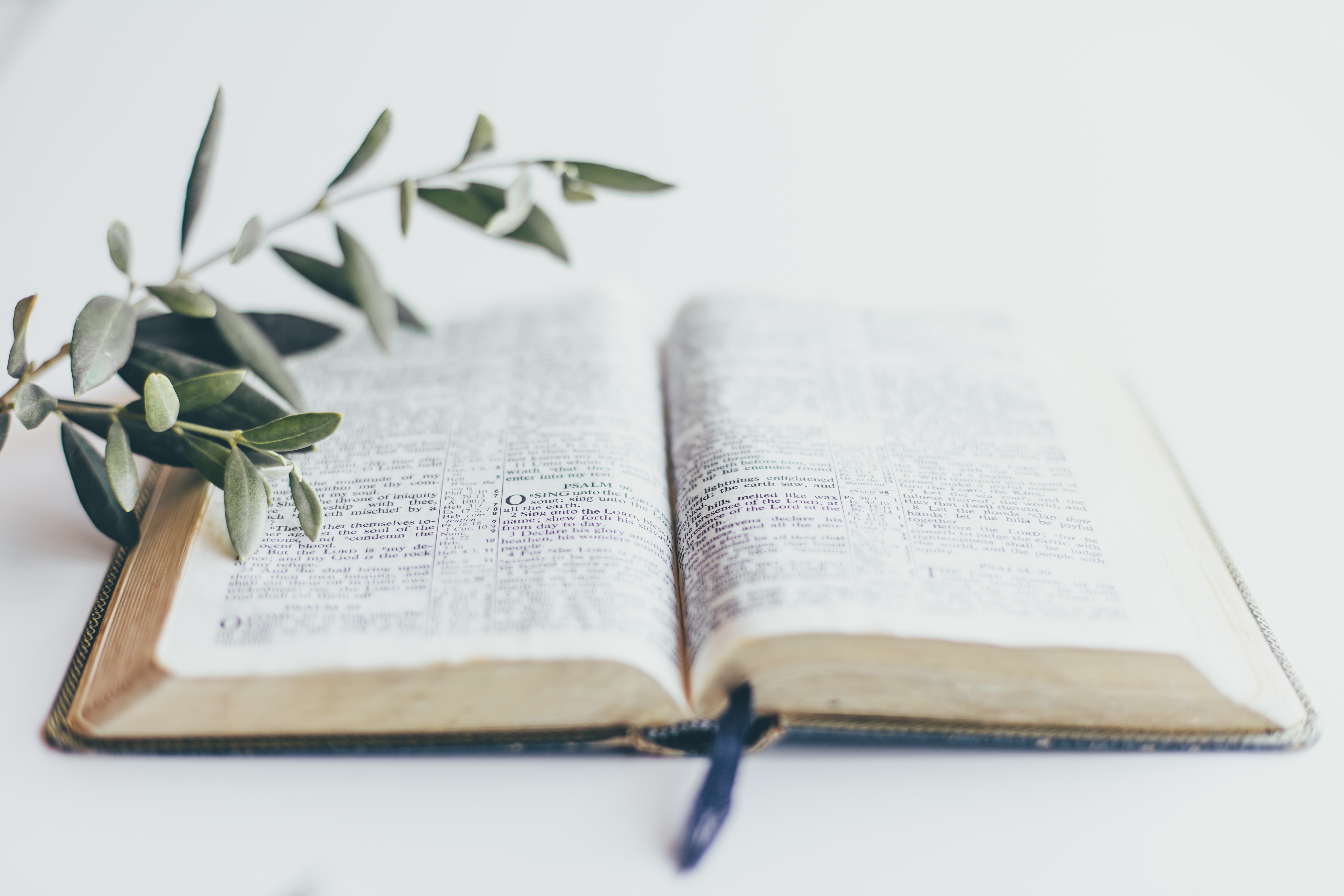Teaching Kids to Take the Bible Seriously, but Not Literally