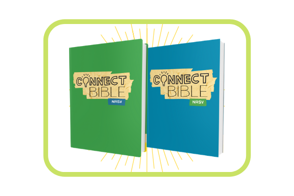 Meet the Connect Bible!